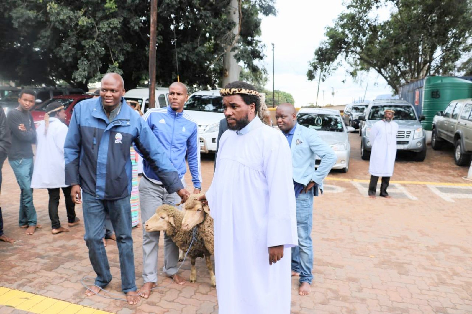 UNyazi lutuse umholiwe-DA ngamagalelo akhe